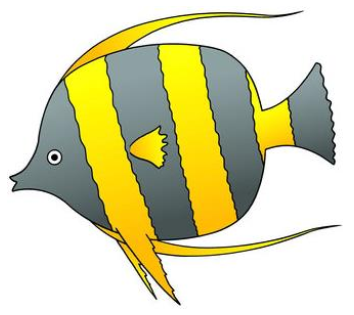 WHEEL - Sea Animals flashcards